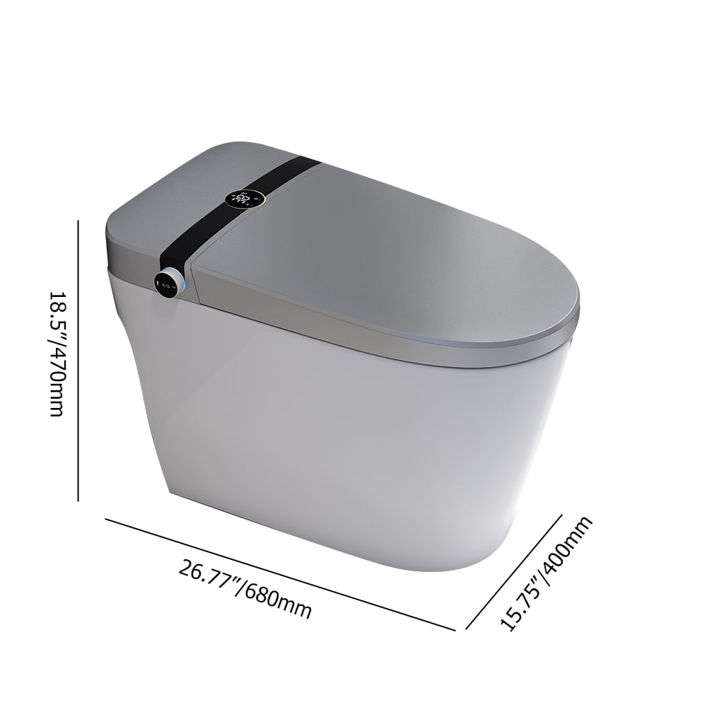 Elongated One-Piece Smart Toilet Floor Mounted Automatic Toilet in ...