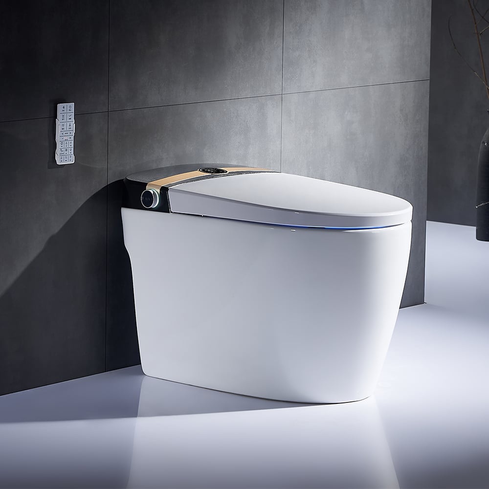 Elongated One-Piece Smart Toilet Floor Mount Modern Smart Toilet | Homary