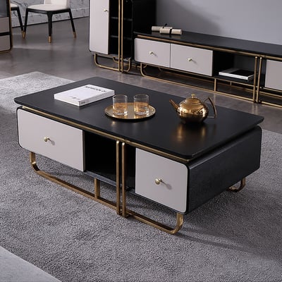 Black Modern Coffee Table Decor with Storage in Solid Wood & Stainless ...