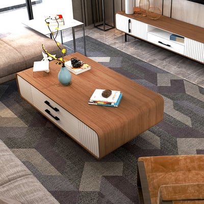 Modern Coffee Table with Drawers in Natural | Homary