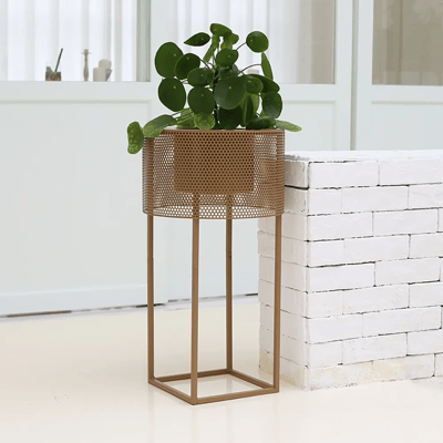 Gold Big Round Wire Mesh Planter Stand with Square Stand Metal | Homary