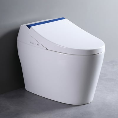 Einteilige längliche intelligente Toilette Bodenmontierte automatische ...