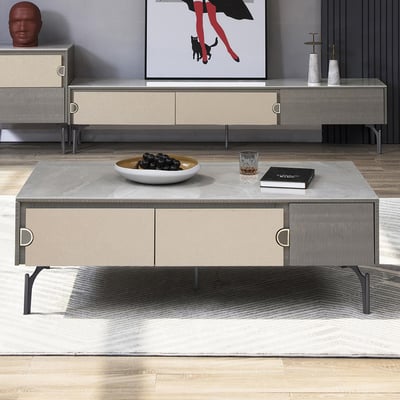 Modern Rectangle Gray Coffe Table with Storage & Sintered Stone Top ...