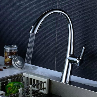 Single Handle Rotatable 1-Hole Pull Out Kitchen Faucet with Dual ...