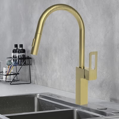 Modern Pull Out Kitchen Faucet with Double Function Sprayer Single ...