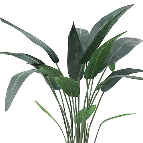 70.9"Artificial Canna Tree 1 Piece Faux Indoor Plant | Homary