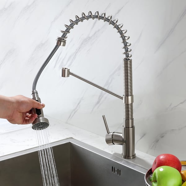 Single Handle Dual Function Spring Pull-Out Kitchen Faucet in Brushed ...