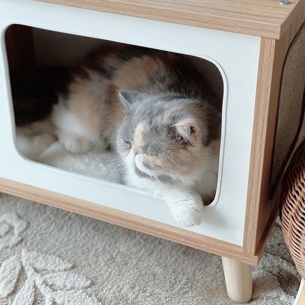 19.7" Square Wooden Cat House TV-Shape Cat Bed with Teasing Toy | Homary