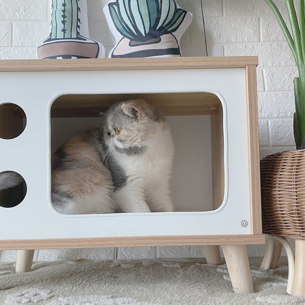19.7" Square Wooden Cat House TV-Shape Cat Bed with Teasing Toy | Homary