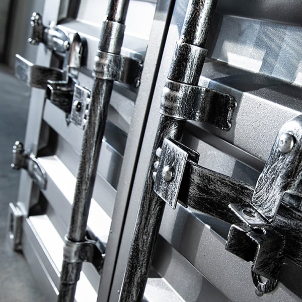 Industrial Cargo Container Style Shoe Storage Cabinet with Doors in ...