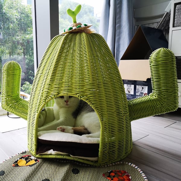 Cactus Rotin Lit pour chat en forme de dôme tressé Vert 450 mm-Homary