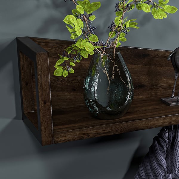 Classical Wall Mounted Coat Rack in Black Walnut | Homary