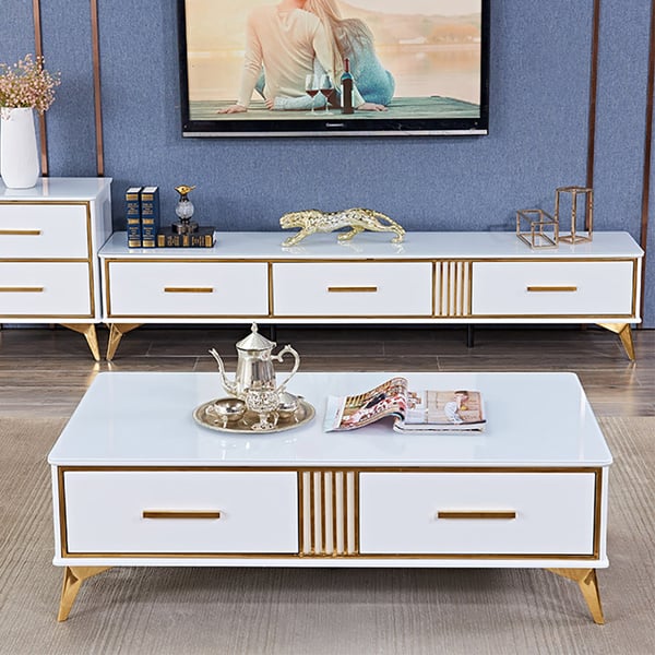 Modern Rectangular Coffee Table with Drawers Stainless Steel Legs | Homary