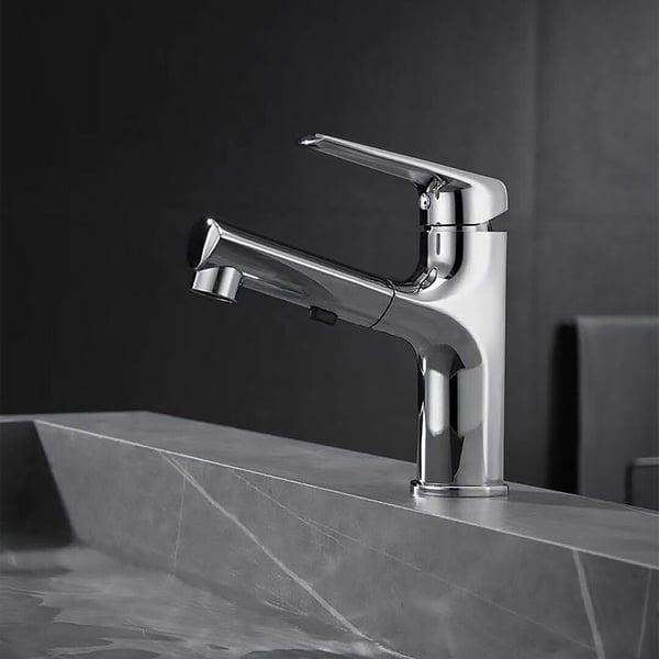 Pull Out Single Handle Bathroom Sink Faucet with Dual-Function in ...
