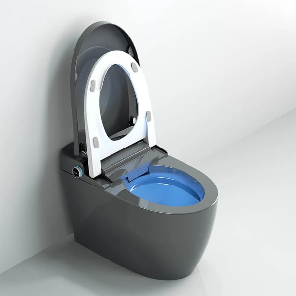 One-Piece Elongated Gray Smart Toilet Floor Mounted Automatic Toilet ...