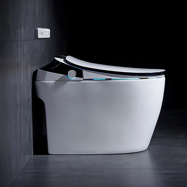 Automatic Toilet One-Piece Floor Mounted Self Clean Smart Toilet ...