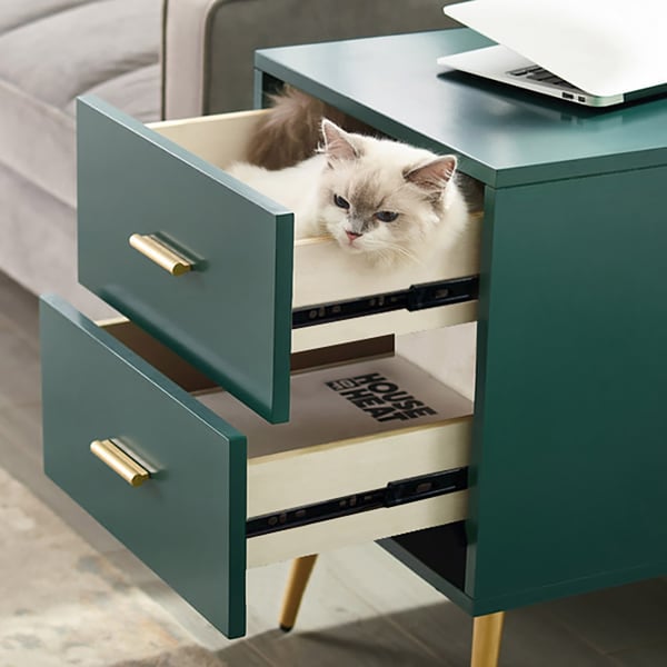 Narre Green End Table with Storage Living Room Side Table 2 Drawer ...