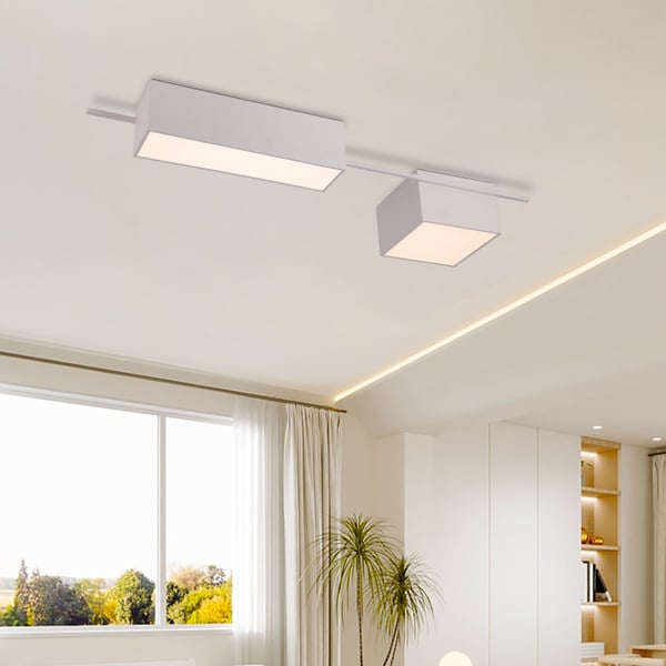 2-Light Rectangle Modern Flush Mount LED Ceiling Light with Acrylic in ...