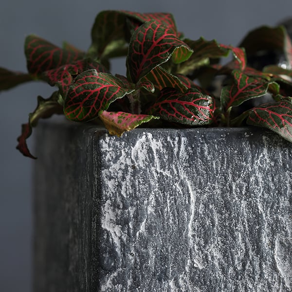 Rectangular Stone Pattern Planter Cement Flower Pot Black Planter Box ...