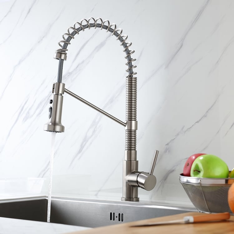 Single Handle Dual Function Spring Pull-Out Kitchen Faucet in Brushed ...