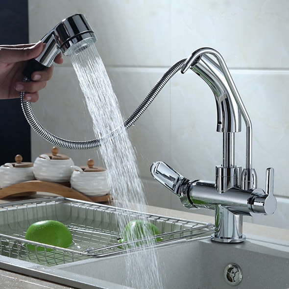 Single Hole Pull-Down Sprayer with Water Filtering Kitchen Basin Tap in ...