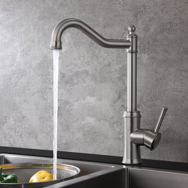Classic Single Handle 1-Hole Stainless Steel Kitchen Faucet in Brushed ...
