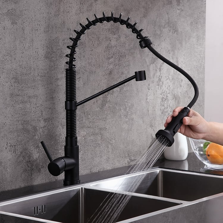 Contemporary Single Lever Handle Dual Function Pull-Out Kitchen Tap in ...