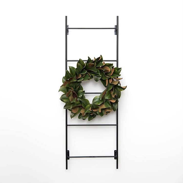 Modern Wall Mounted Entryway Coat Rack Ladder Rack | Homary