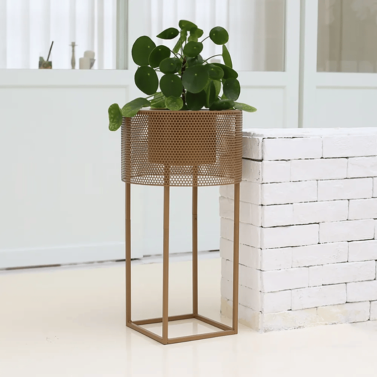 Gold Big Round Wire Mesh Planter Stand with Square Stand Metal｜Homary