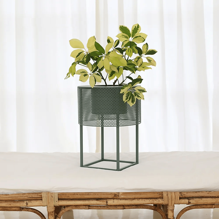 Green Small Round Wire Mesh Planter Stand with Square Stand Metal｜Homary UK