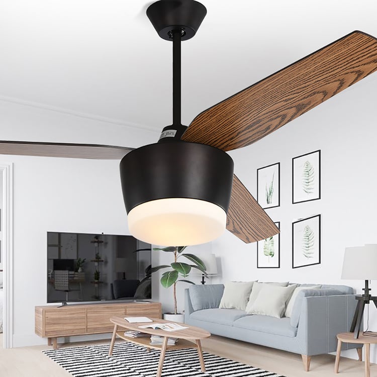 Ceiling Fan Modern Simple Fashion With Remote Control｜Homary
